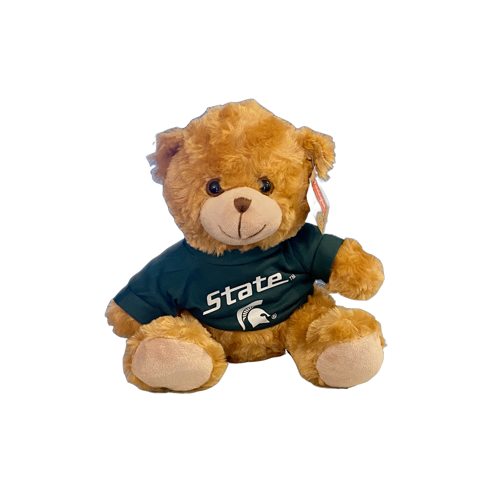 Michigan State Teddy Bear | My State Designs